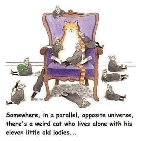 Comic Relief – Delightful Designs